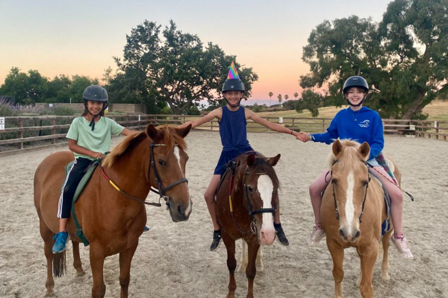 Victoria Dye Equestrian | InPlay.org