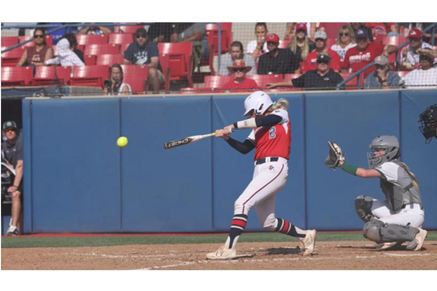 Bulldog Softball | Stacy May-Johnson, LLC. (dupe 2023) | InPlay.org