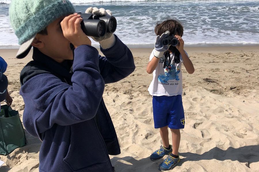 Aquarium Science Field Trip | Heal the Bay | Santa Monica | InPlay.org