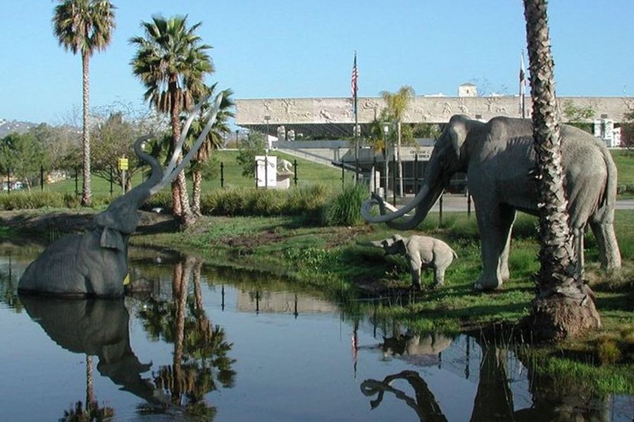 La Brea Tar Pits Museum Inplay Org