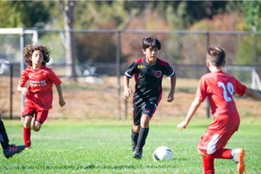 Red Star Soccer Academy | InPlay.org