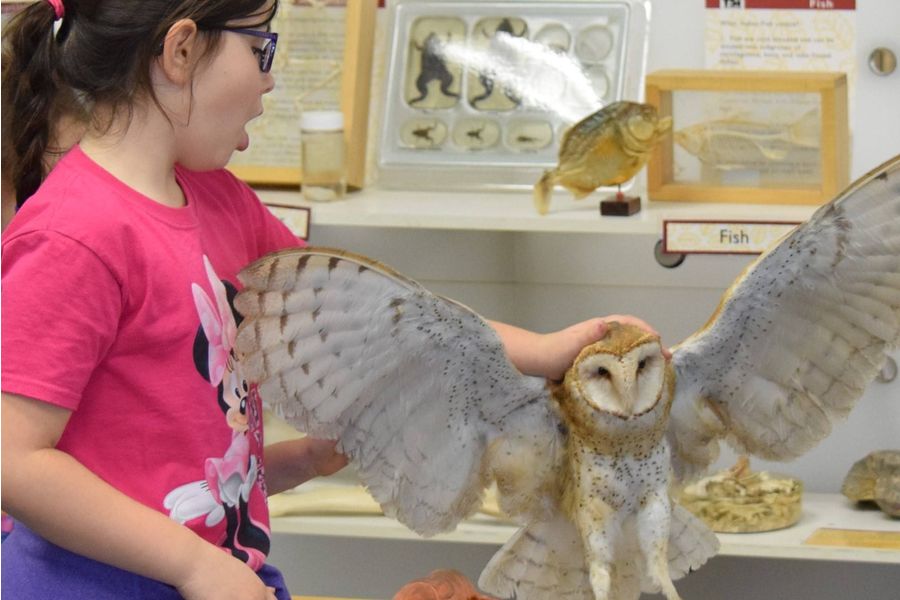 Feathers, Fur, and Scales | Youth Science Institute | InPlay.org