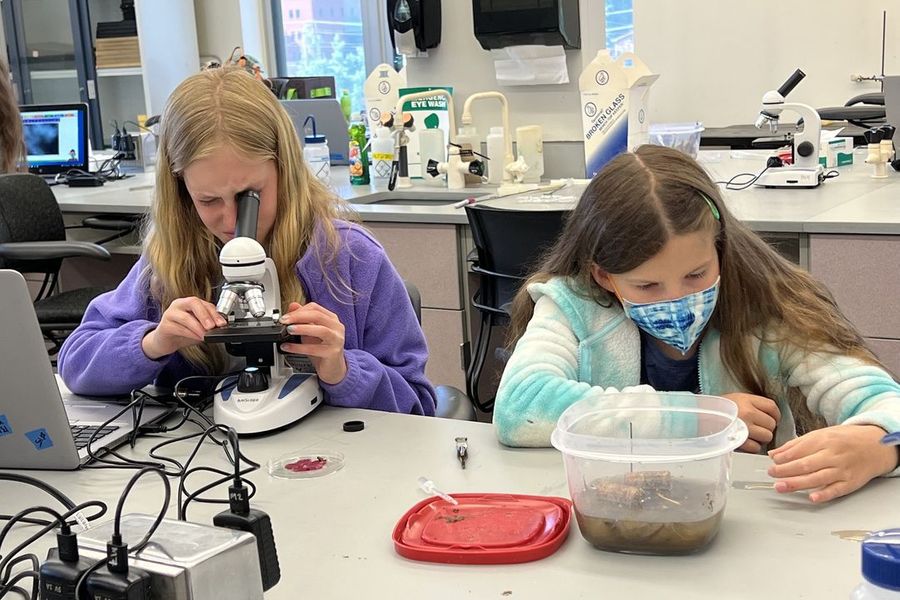 National Youth Science Academy | InPlay.org