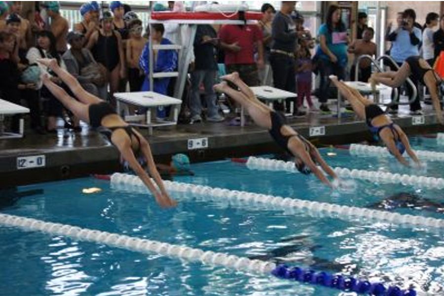 Spring/Summer Season | South Central Swim League | Los Angeles | InPlay.org