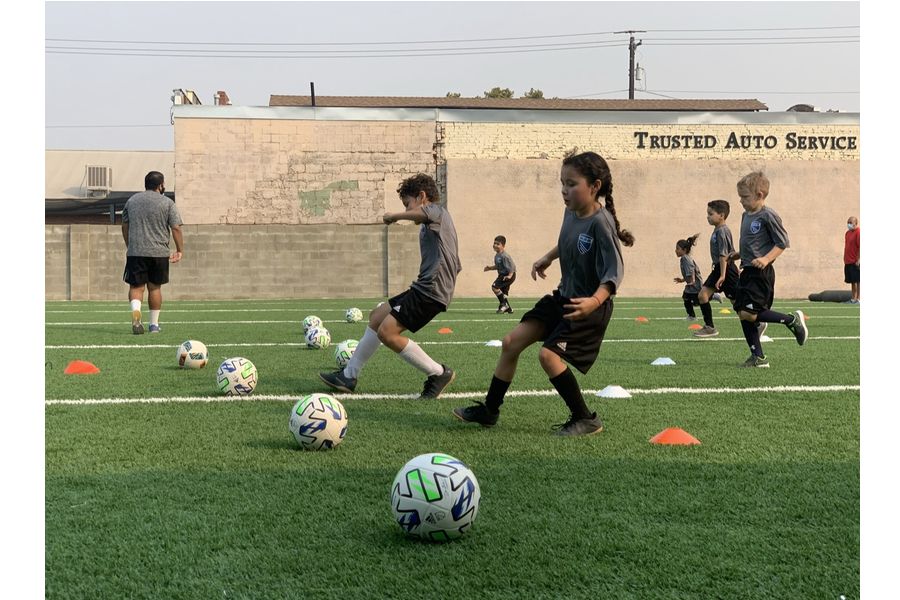 HPA Summer Sports Performance & Day Camp | High Performance Academy ...