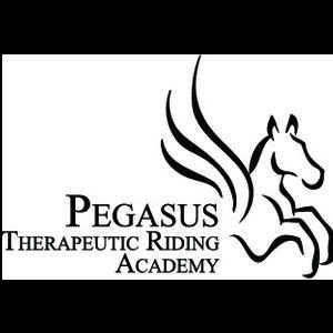 Pegasus Therapeutic Riding Academy | InPlay.org
