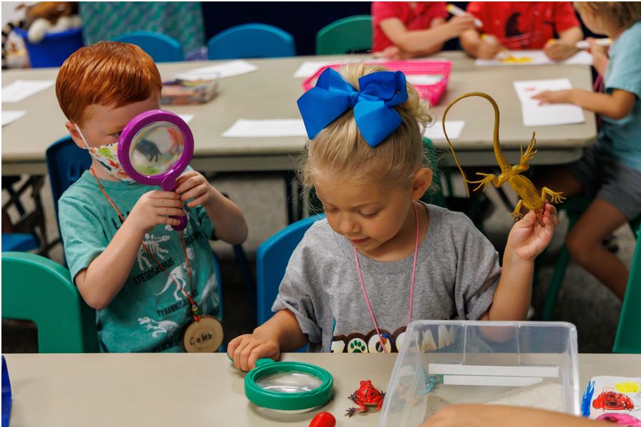 Global Zooventures at Fresno Chaffee Zoo | Fresno Chaffee Zoo (Fresno ...